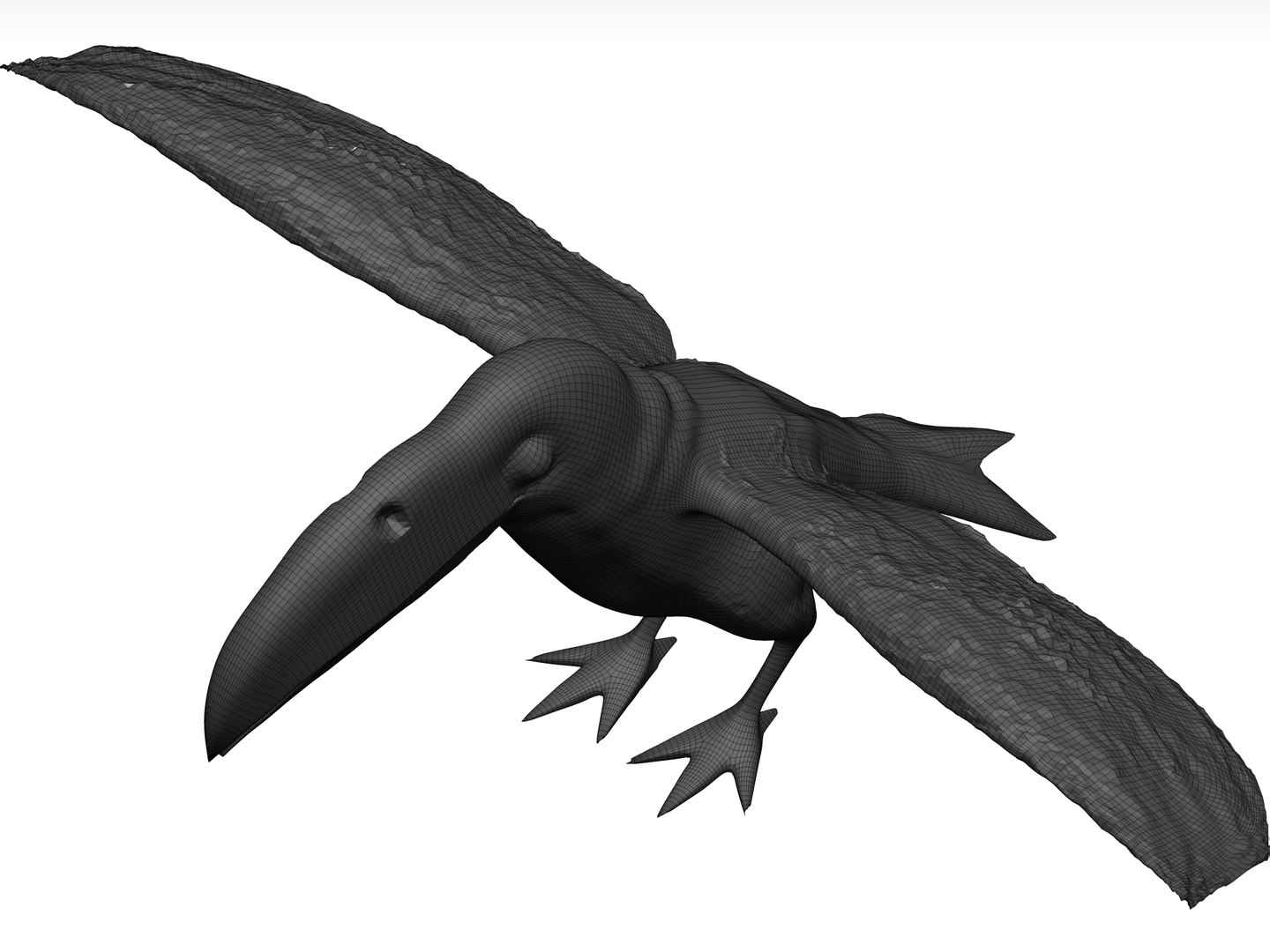 3D Toco Tolucan Stl Model - TurboSquid 1774239