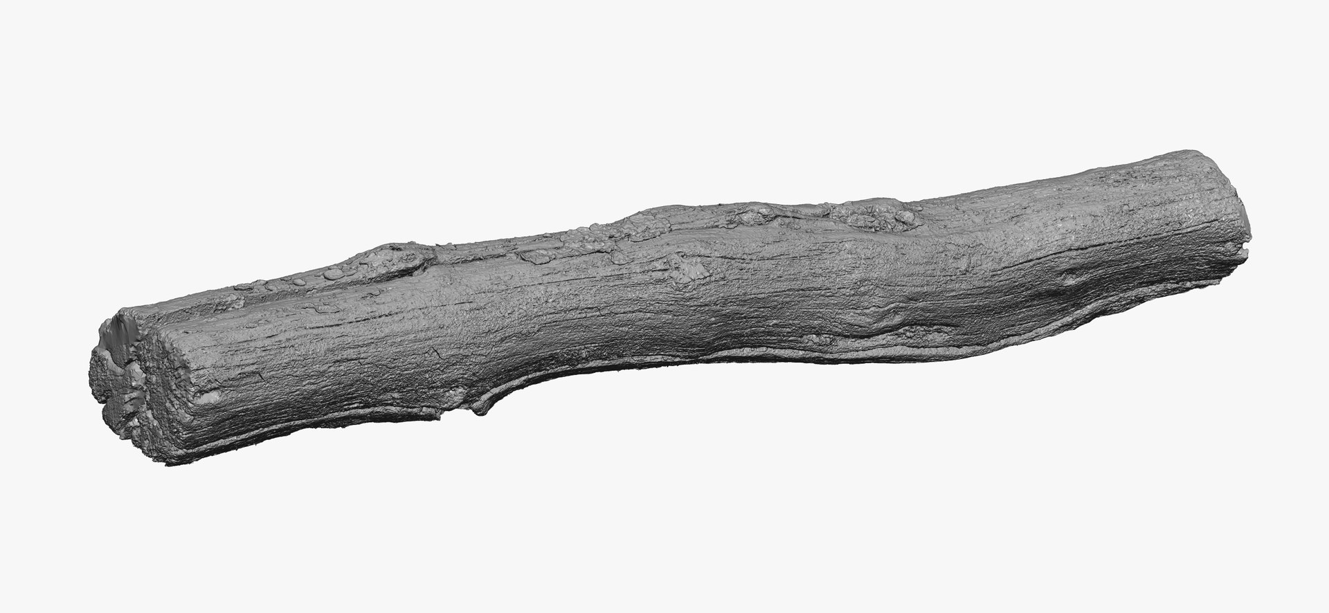 3D Broken Trunk Piece 01 RAW Scan - TurboSquid 2143351