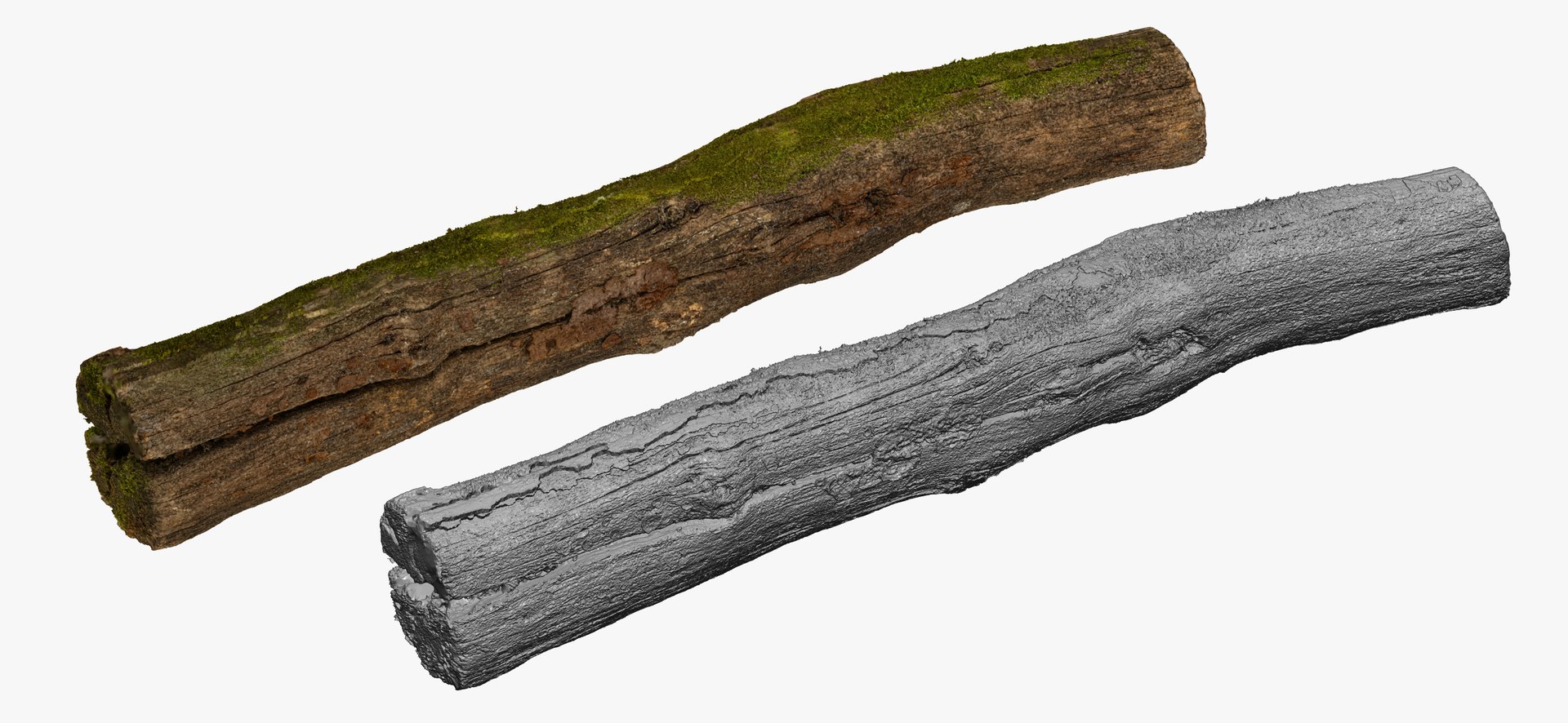 3D Broken Trunk Piece 01 RAW Scan - TurboSquid 2143351