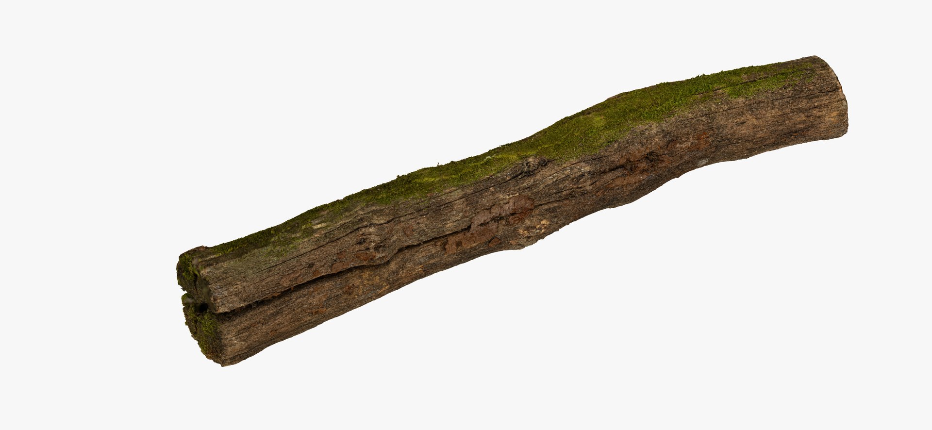 3D Broken Trunk Piece 01 RAW Scan - TurboSquid 2143351