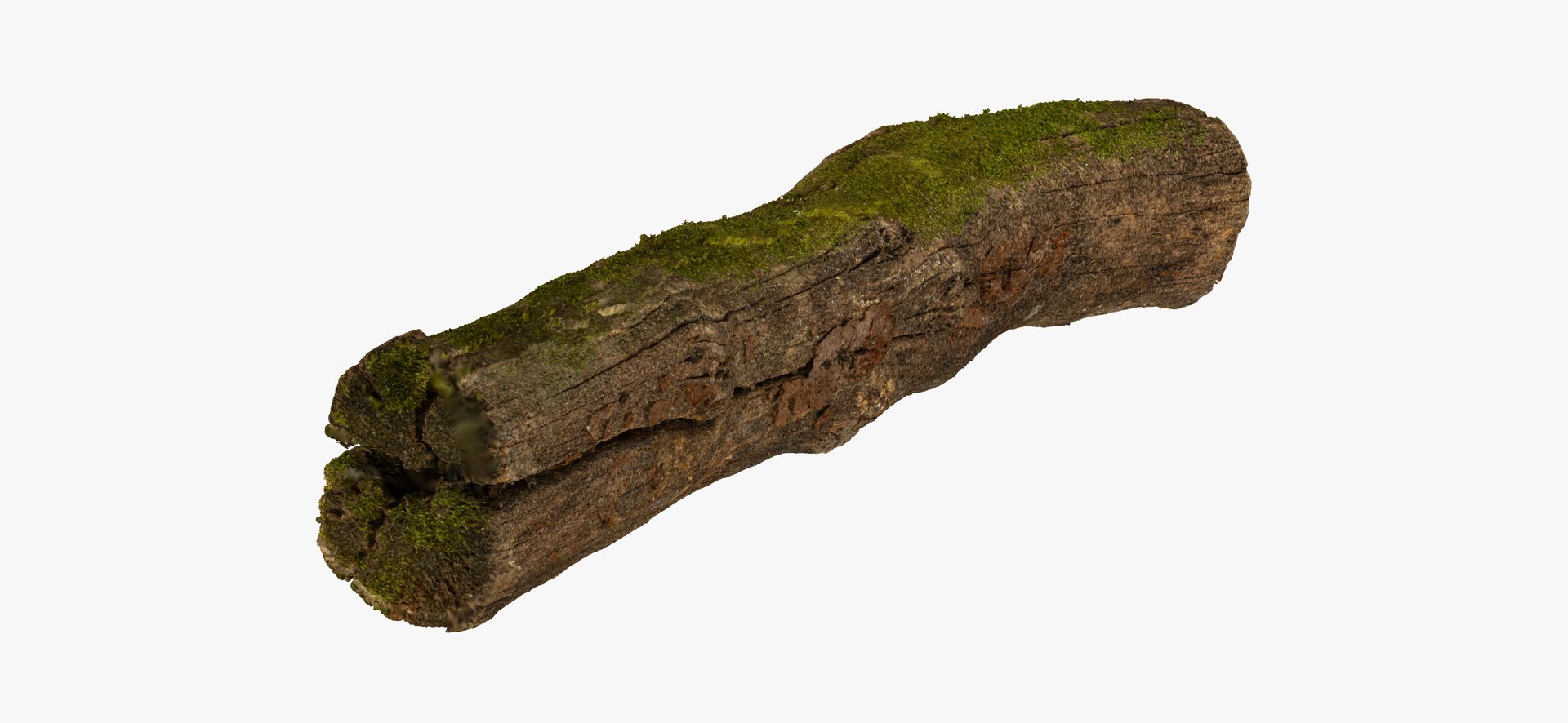 3D Broken Trunk Piece 01 RAW Scan - TurboSquid 2143351