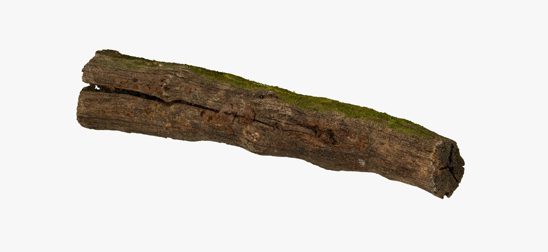 3D Broken Trunk Piece 01 RAW Scan - TurboSquid 2143351