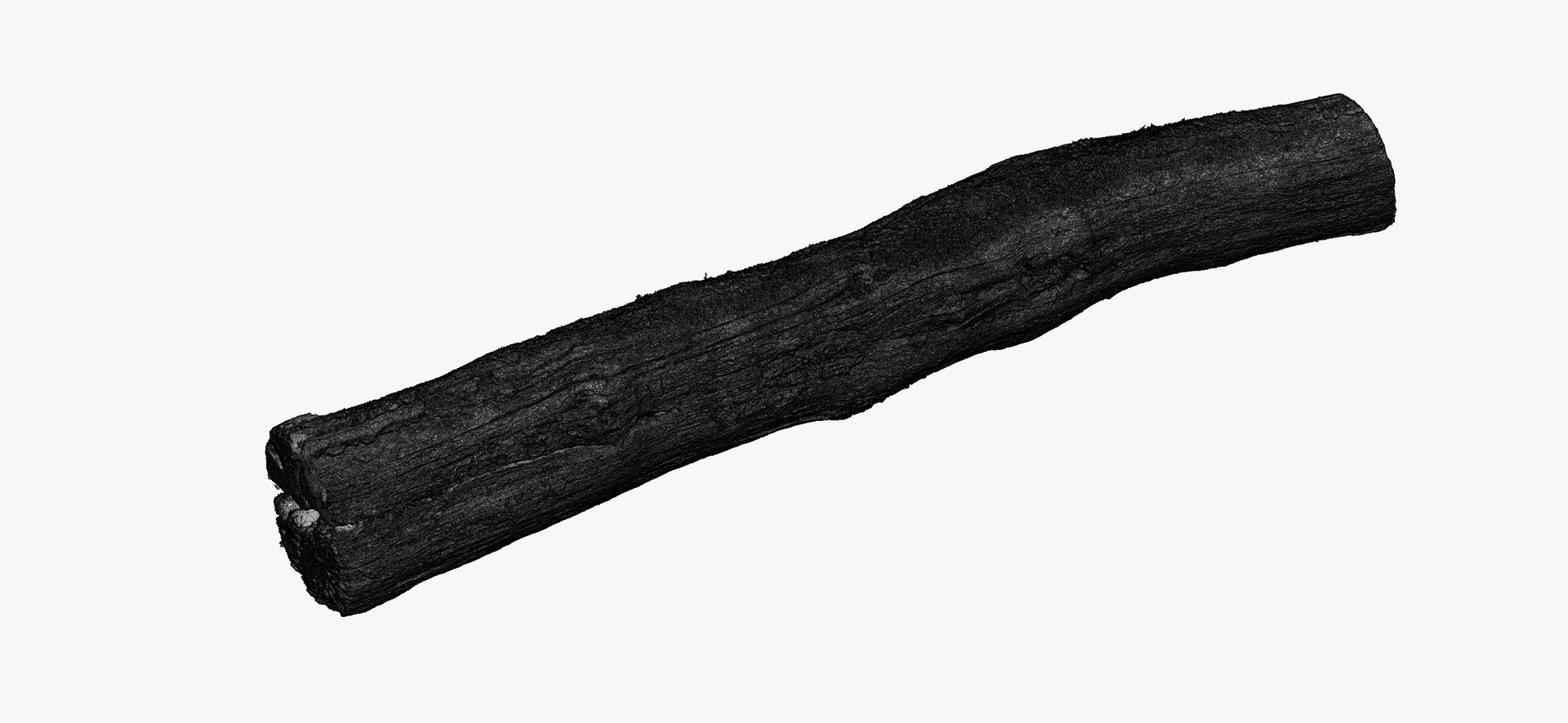 3D Broken Trunk Piece 01 RAW Scan - TurboSquid 2143351