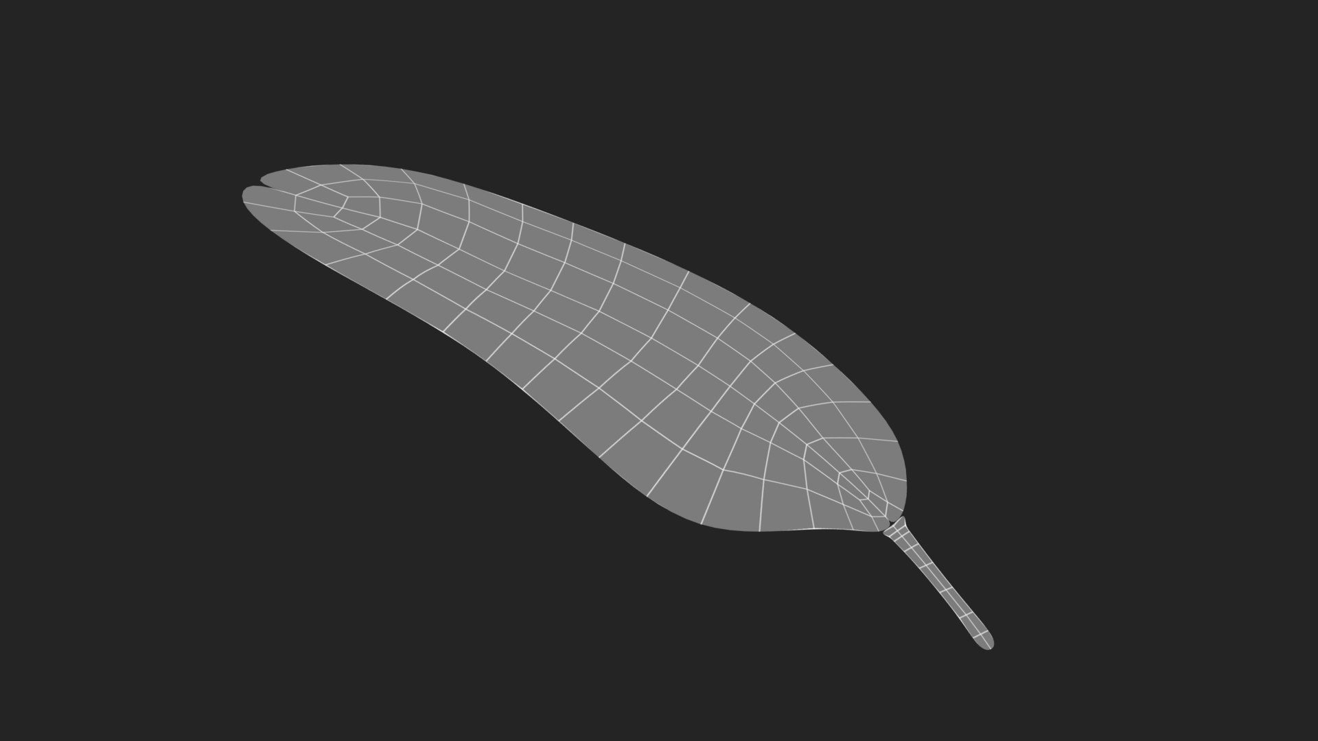3D Feather Model - TurboSquid 1898406