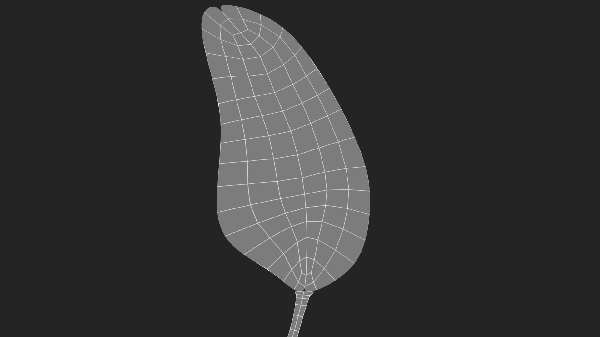 3D Feather Model - TurboSquid 1898406