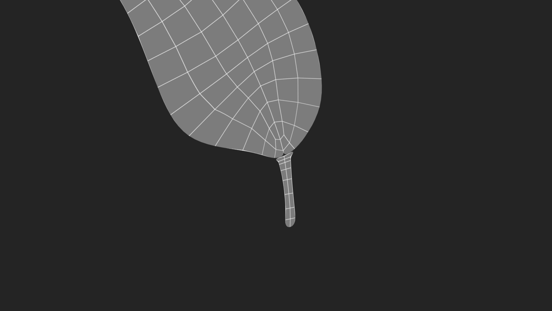 3D Feather Model - TurboSquid 1898406