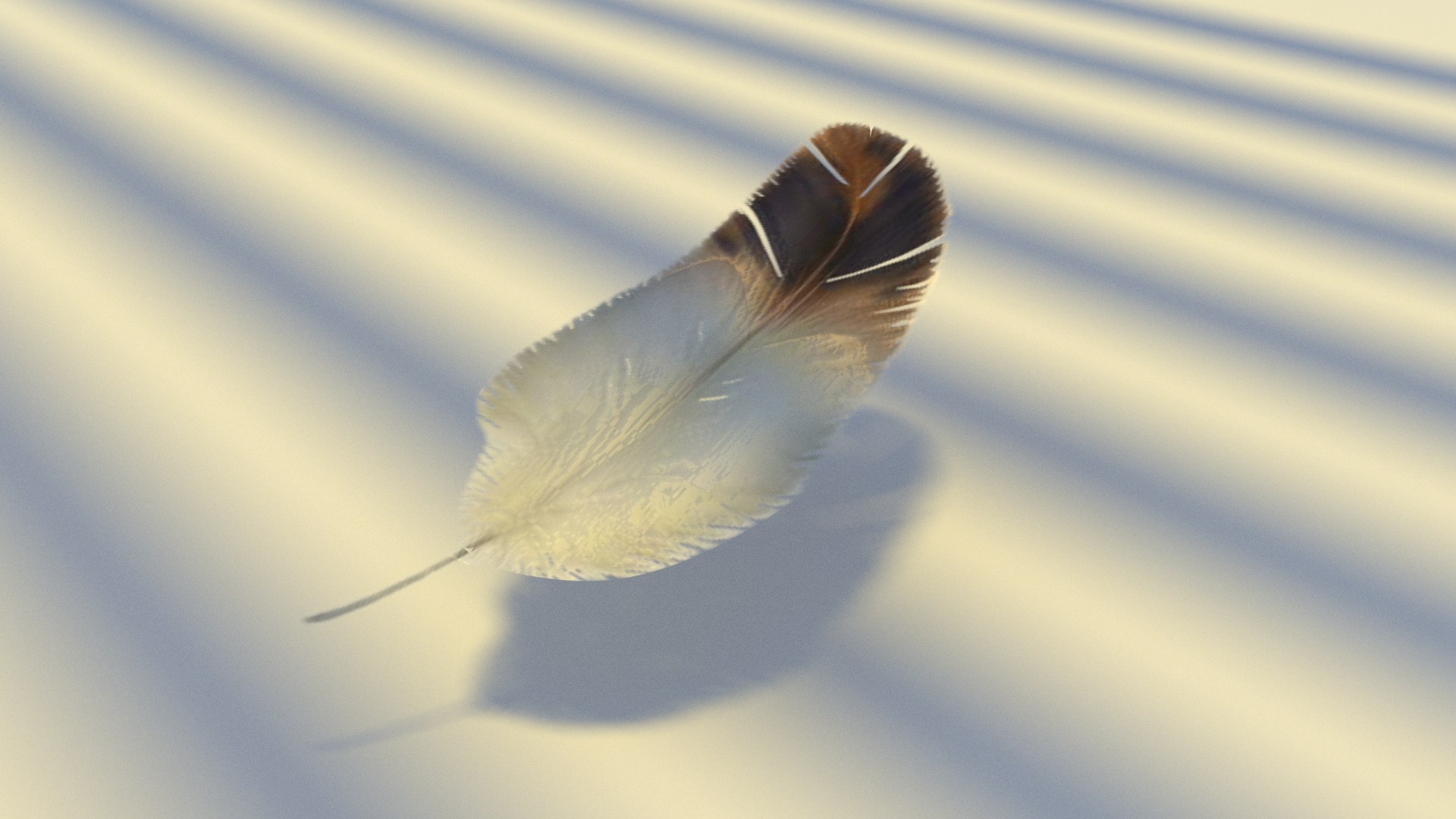 3D Feather Model - TurboSquid 1898406