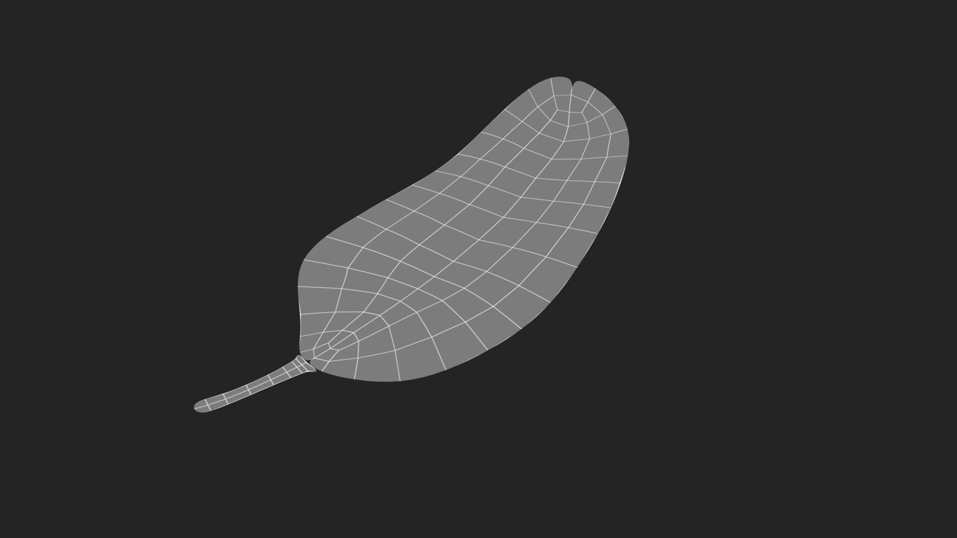 3D Feather Model - TurboSquid 1898406