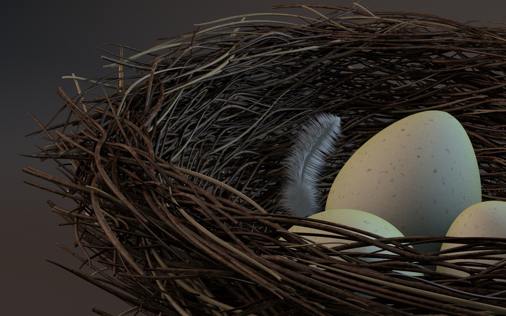 Bird S Nest 3d C4d