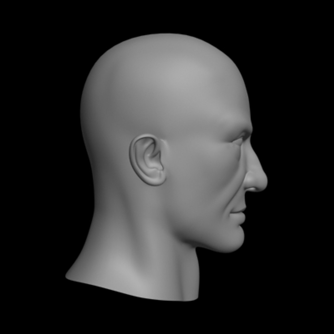 Polygonal Male Head 3d Model