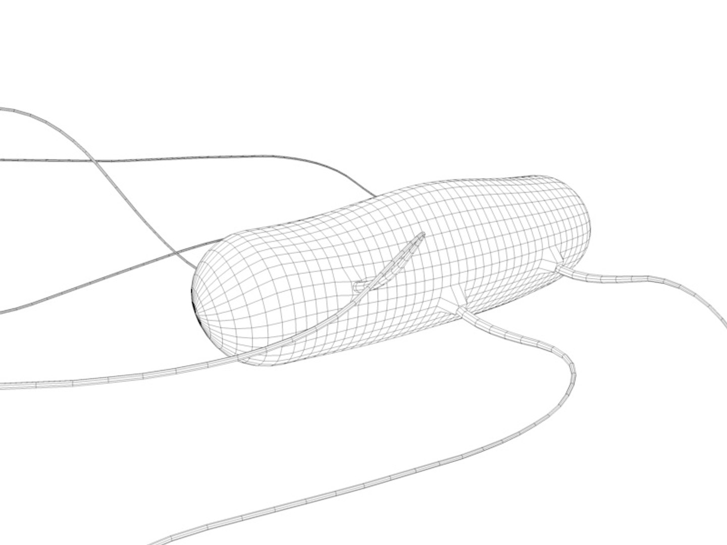 3d Salmonella Bacteria