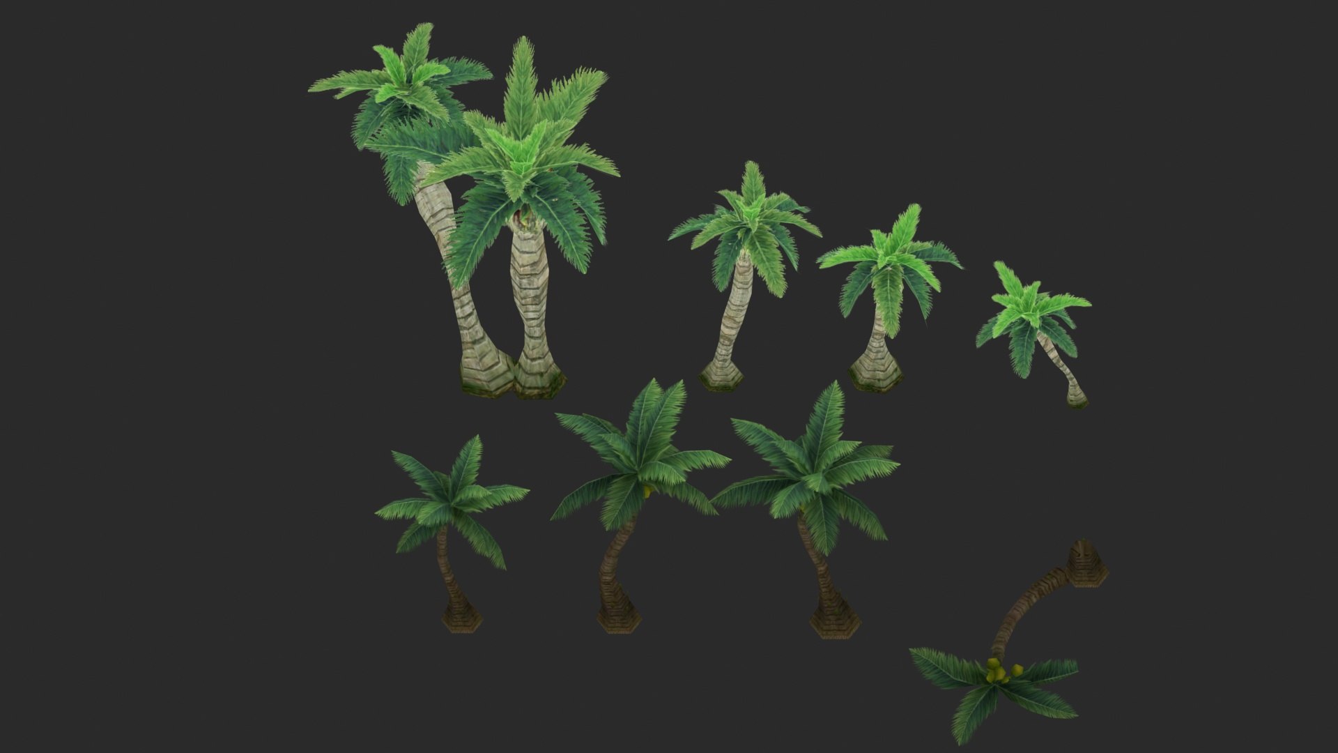 Coconut Tree Model - TurboSquid 1789875