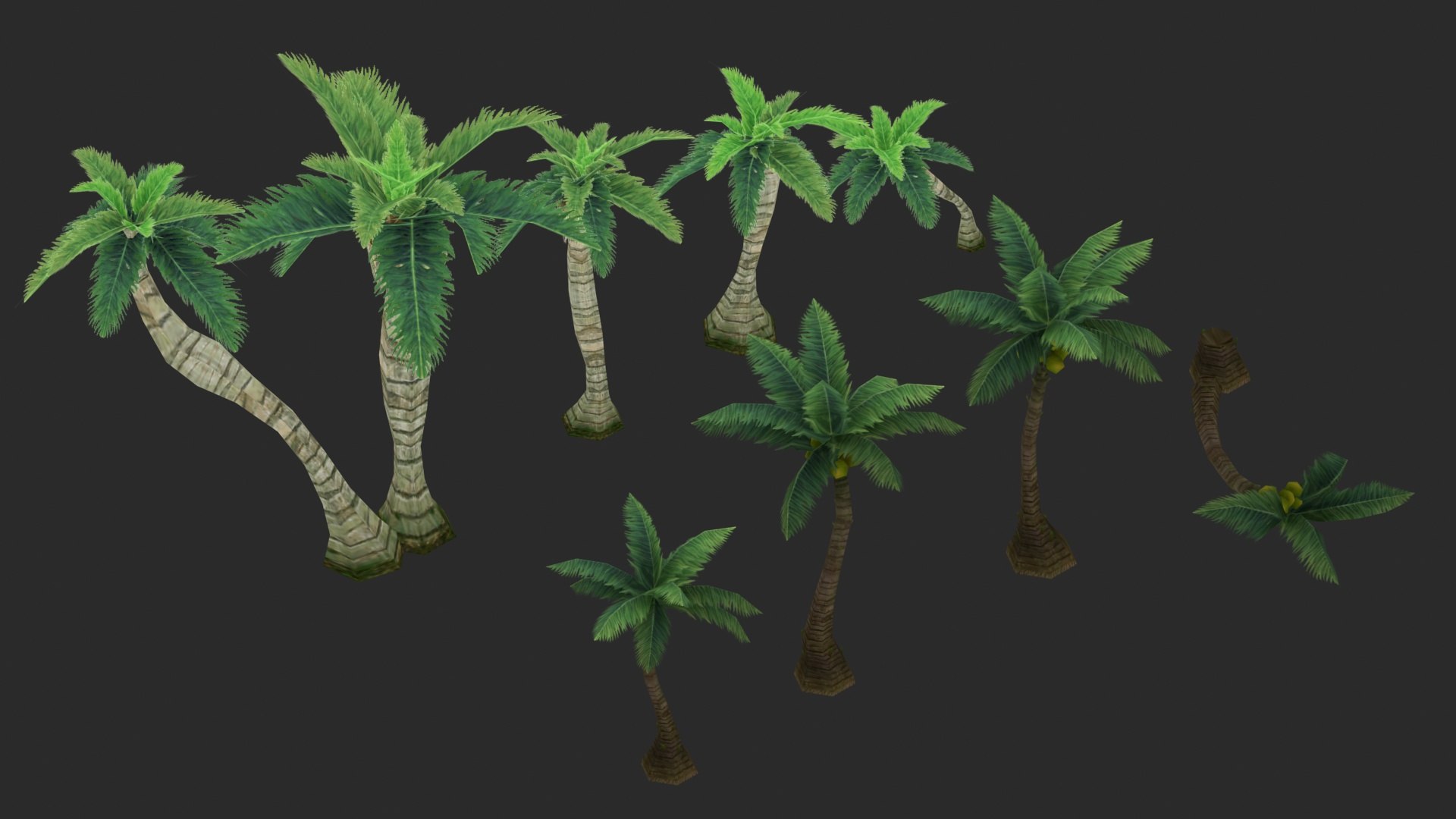 Coconut Tree Model - TurboSquid 1789875