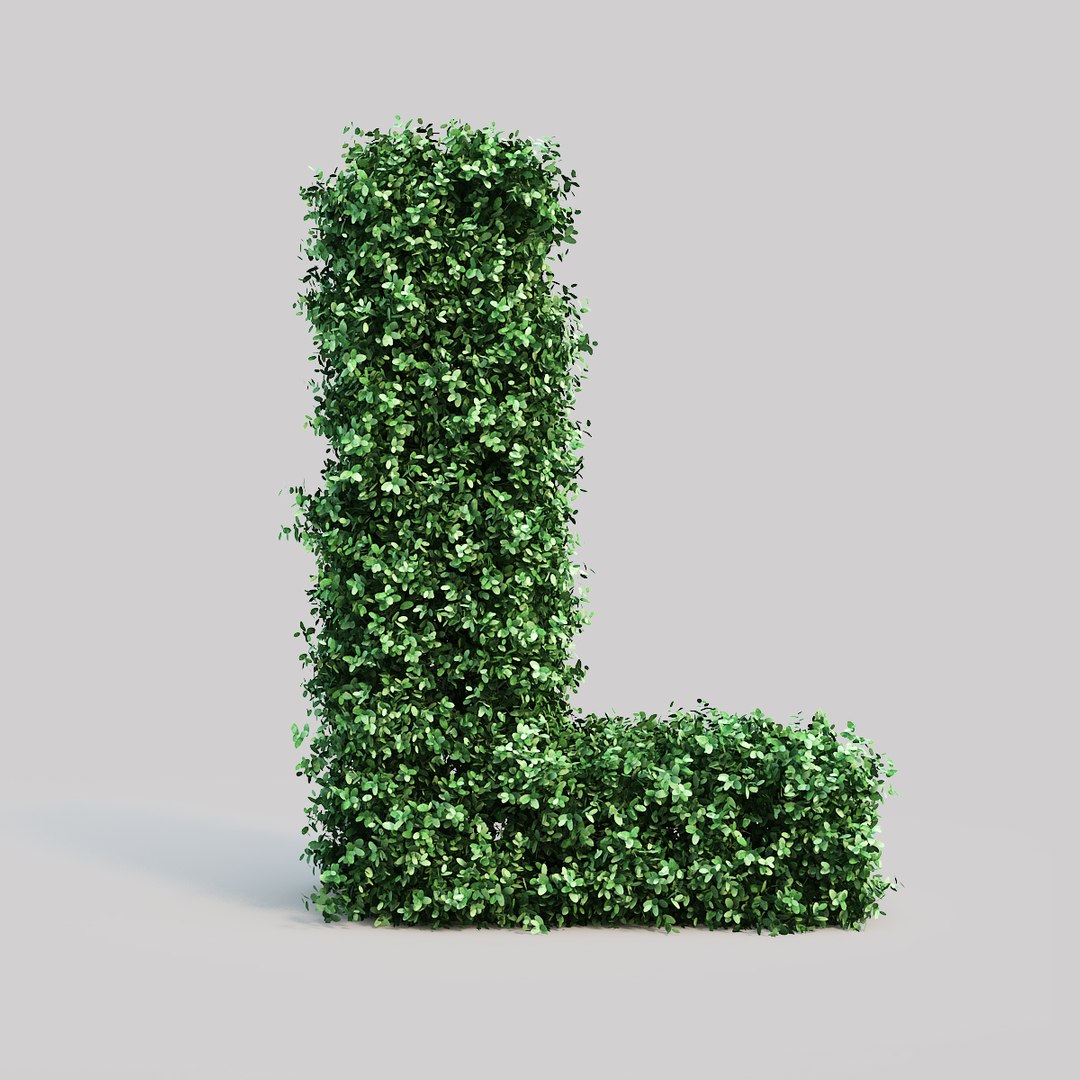 Max Alphabet L Buxus