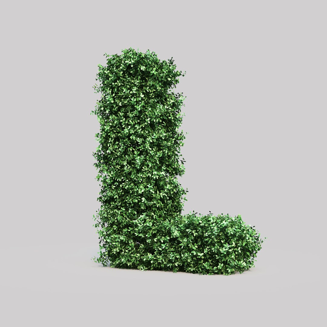 Max Alphabet L Buxus