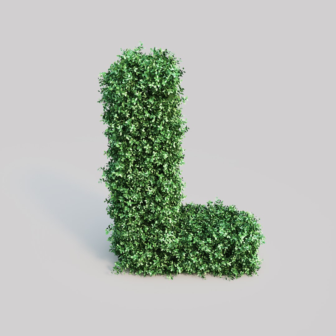 Max Alphabet L Buxus