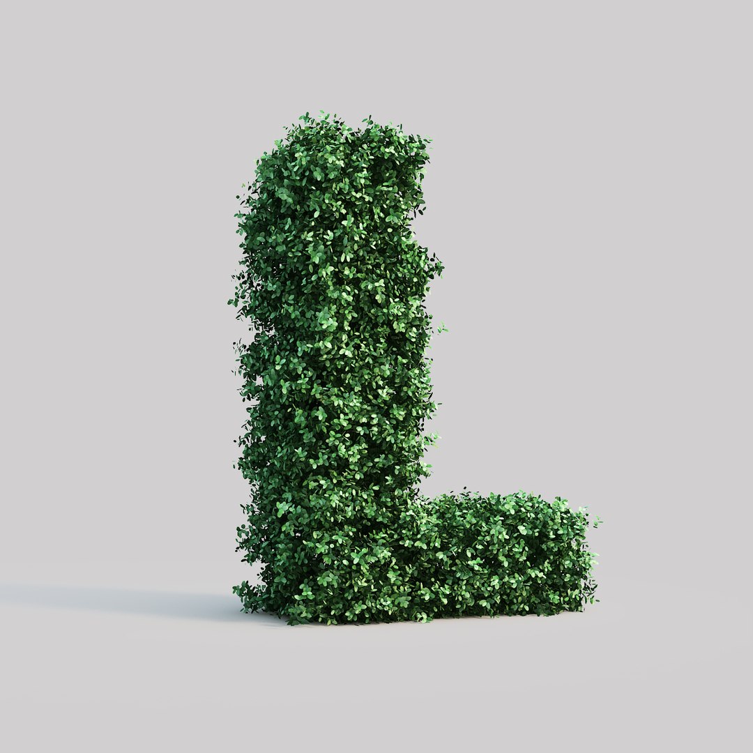 Max Alphabet L Buxus