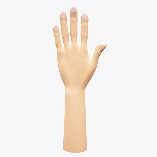 Free Rigged 3D Hand Models | TurboSquid