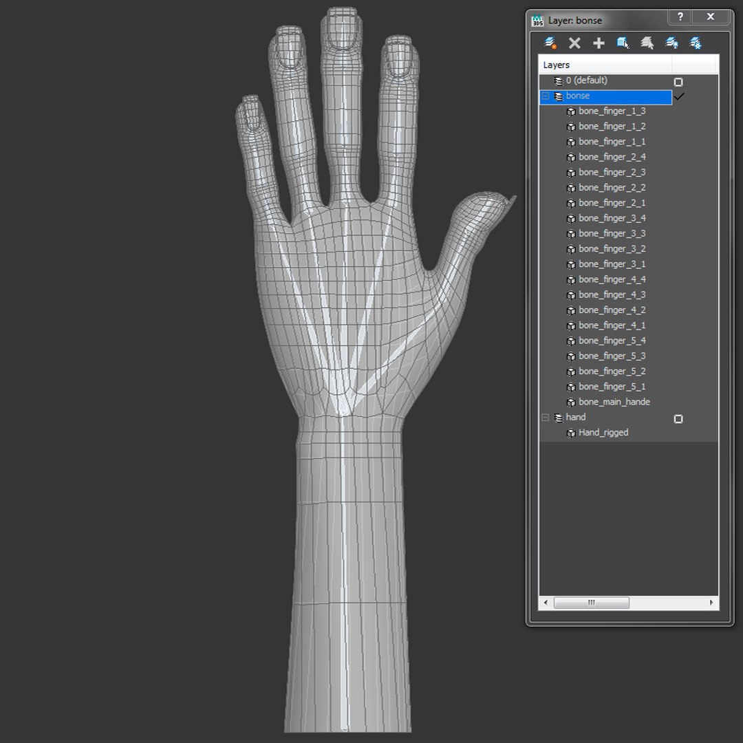 Hand Rigged 3d Model