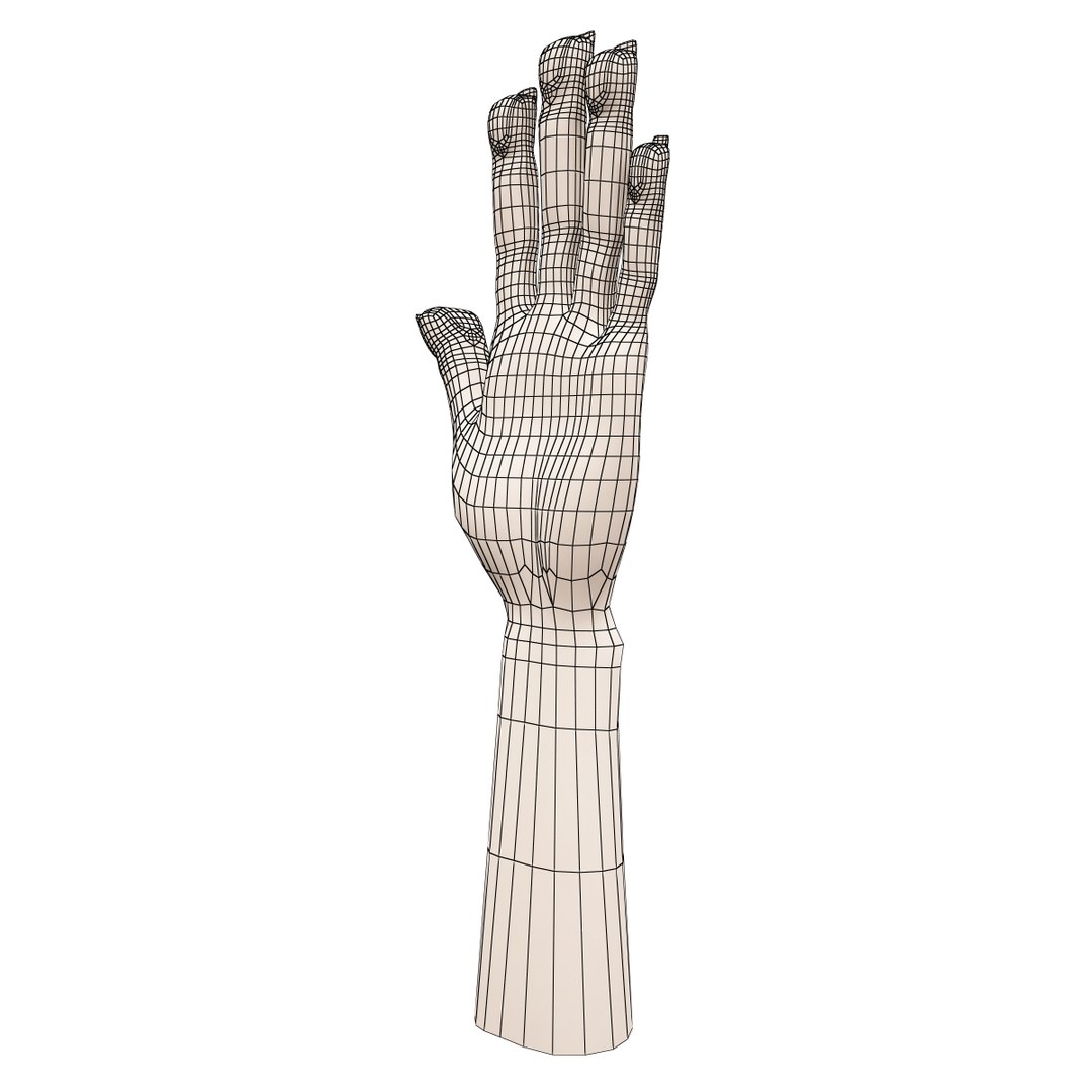 Hand Rigged 3d Model