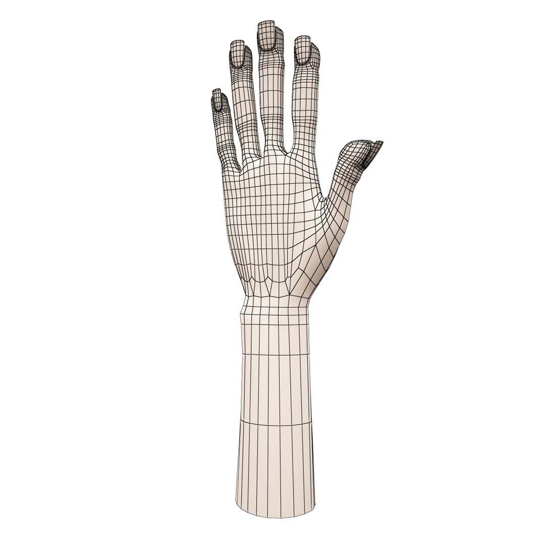 Hand Rigged 3d Model