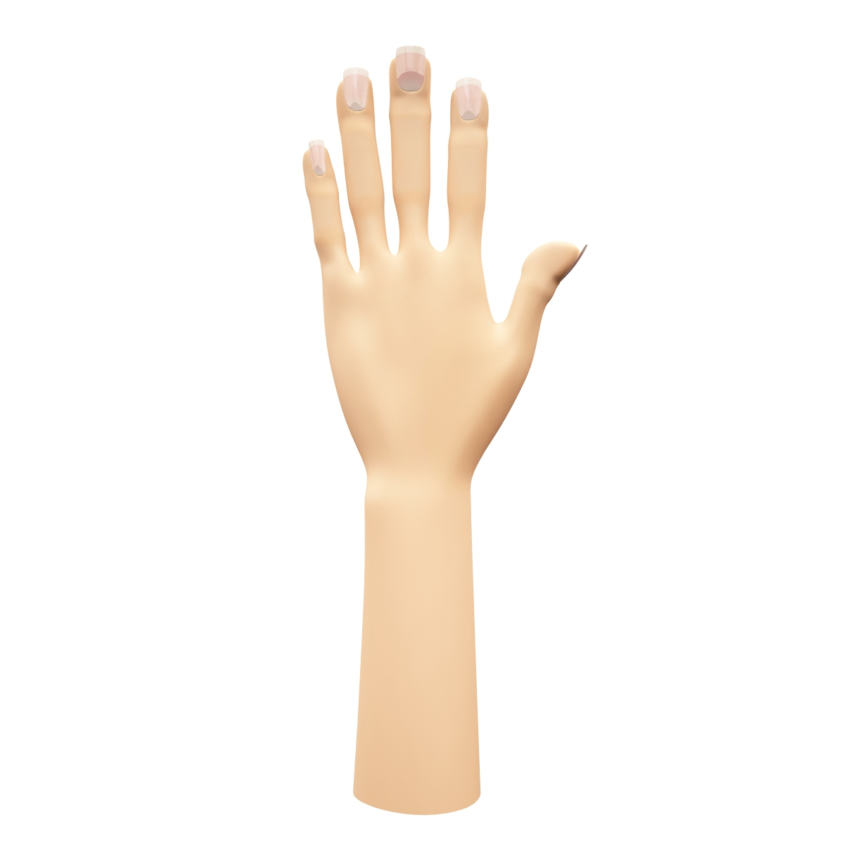 hand rigged 3d model