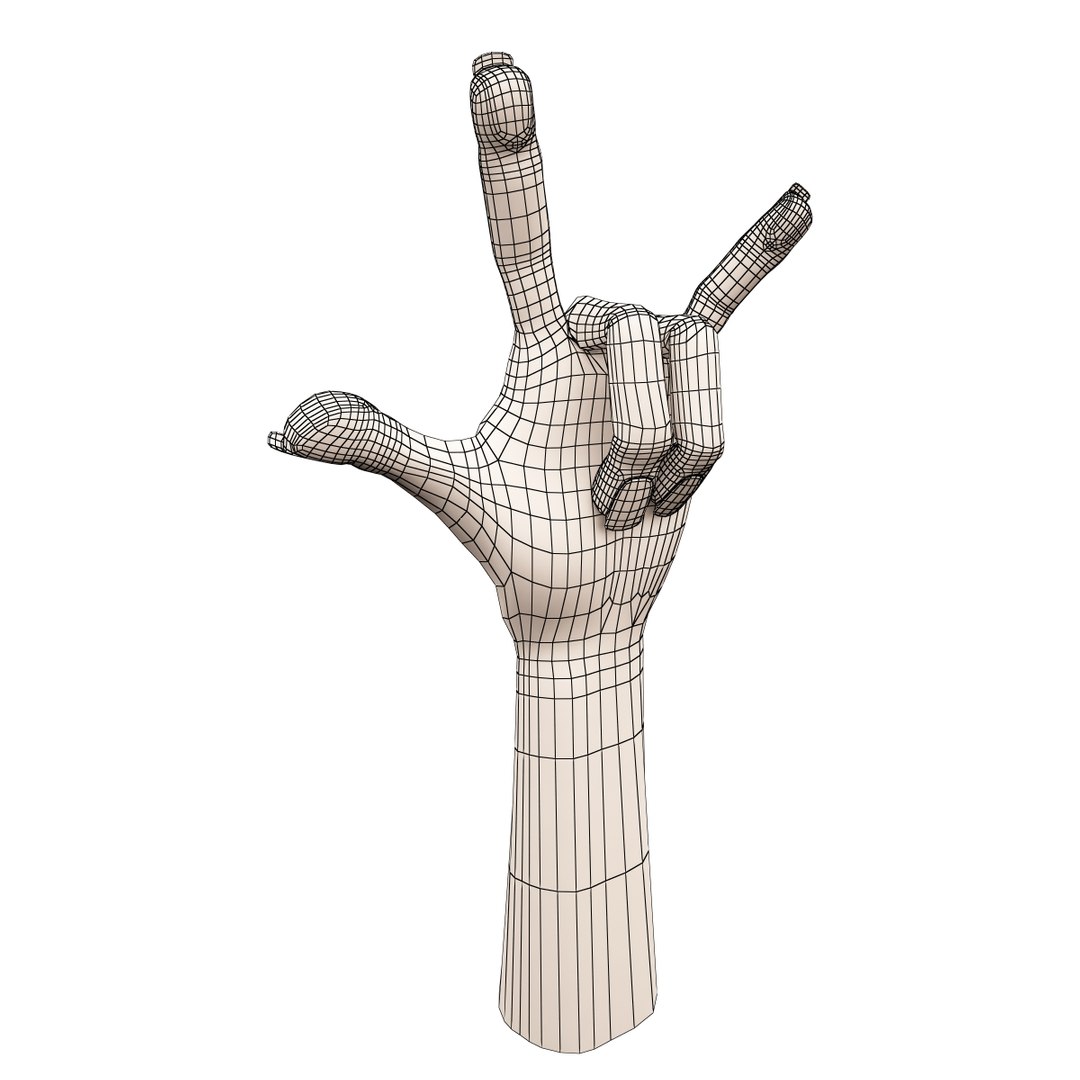 Hand Rigged 3d Model