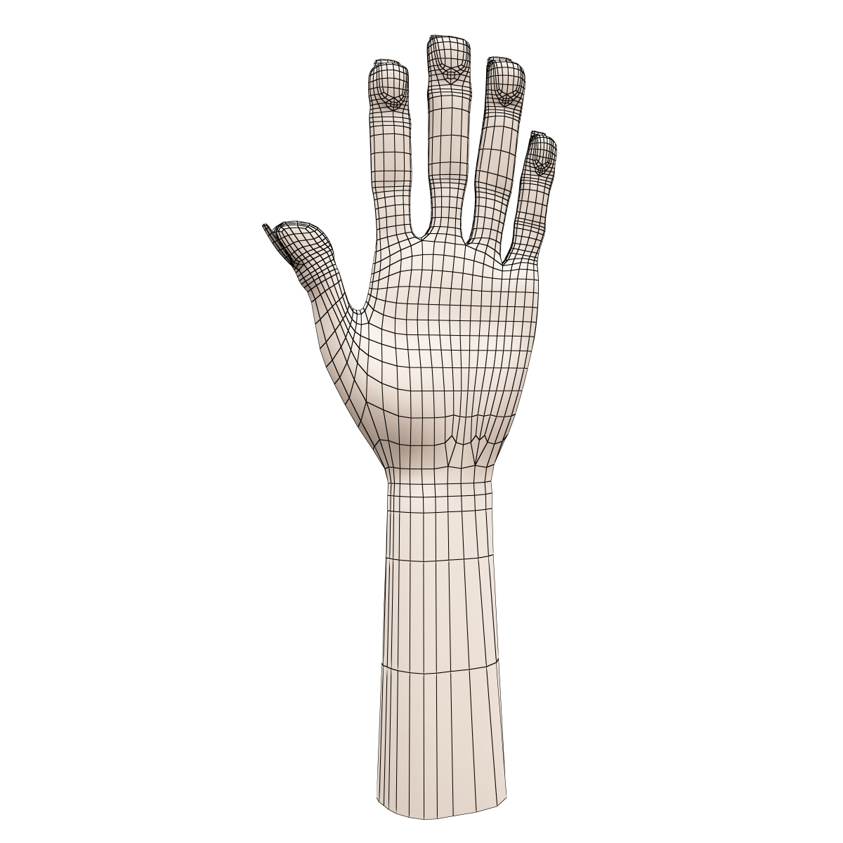 hand rigged 3d model