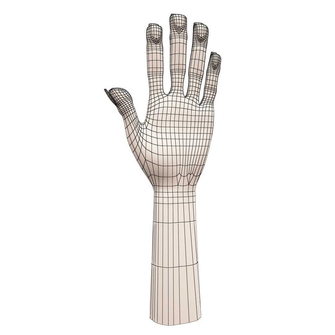 Hand Rigged 3d Model
