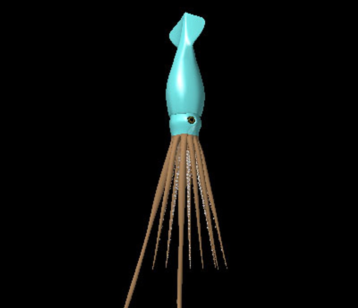 3d Model Of Squid