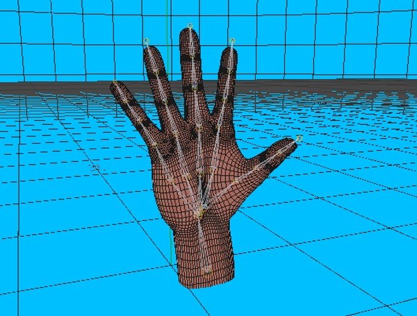 3d model hand rigged