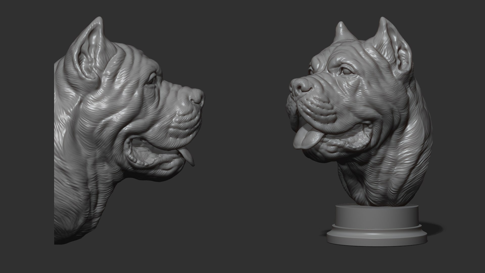 Canne Corso Bust Version 1 Model - TurboSquid 2257911