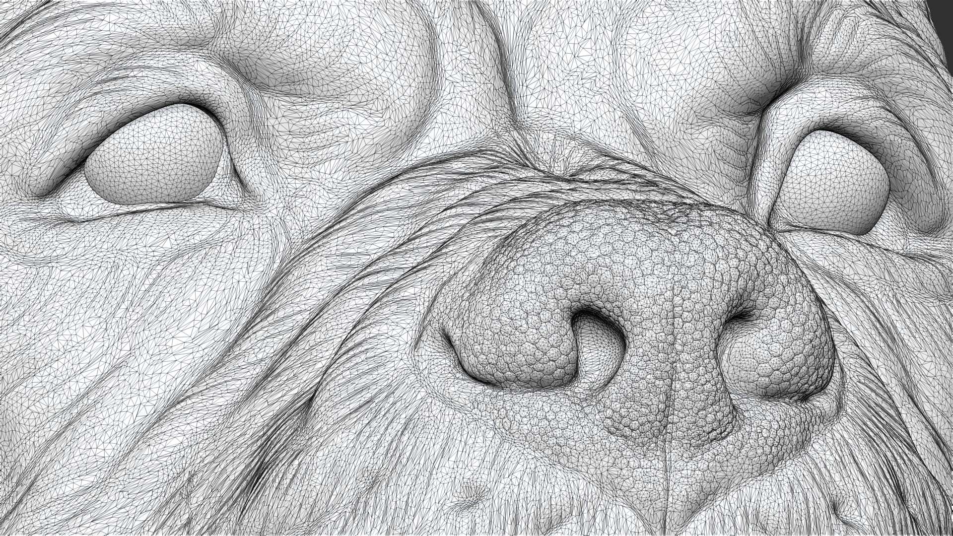 Canne Corso Bust Version 1 Model - TurboSquid 2257911