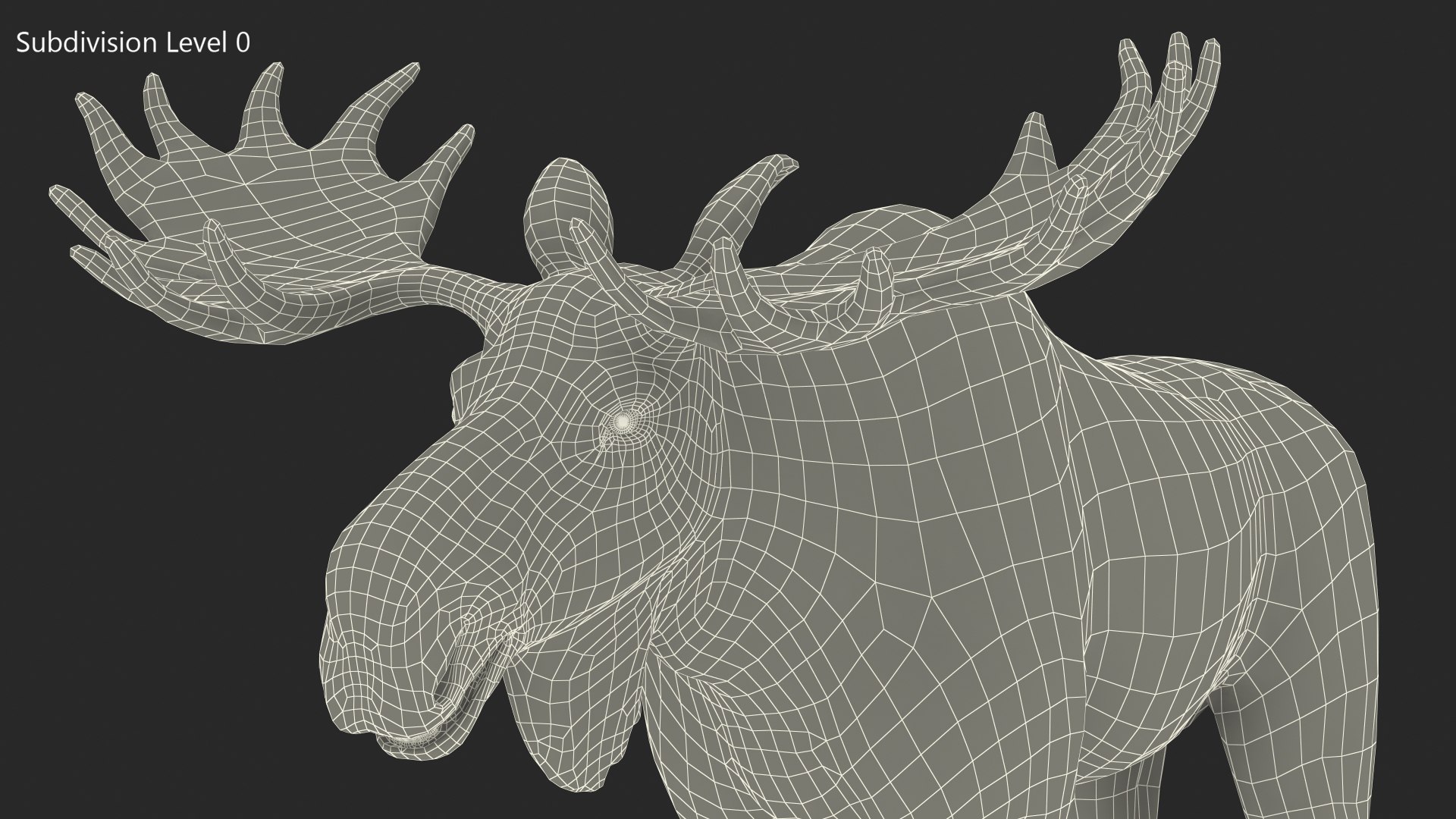 3D Moose No Fur - TurboSquid 2088909