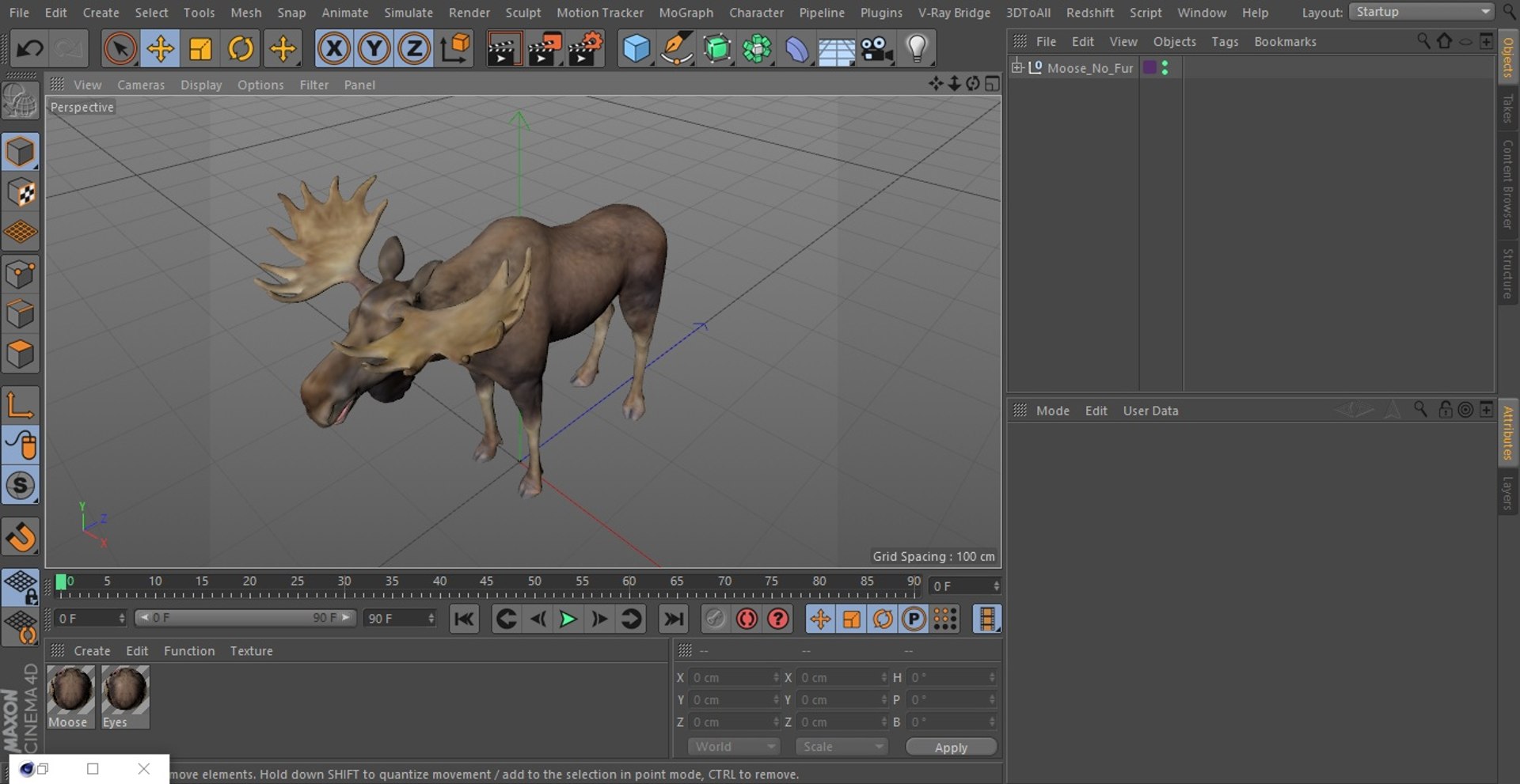 3D Moose No Fur - TurboSquid 2088909