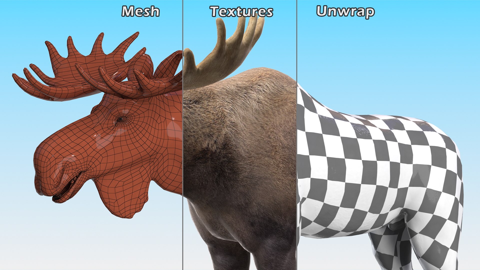 3D Moose No Fur - TurboSquid 2088909