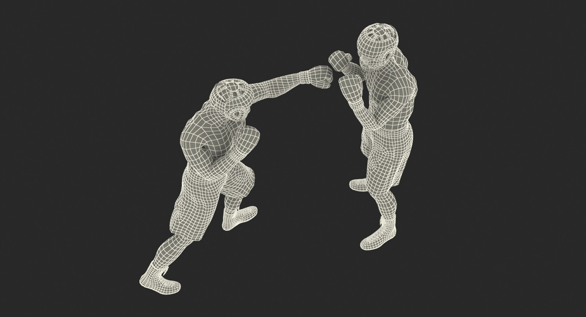 3d Boxers Fighting Model