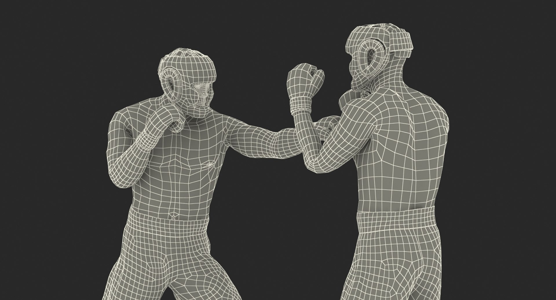 3d Boxers Fighting Model
