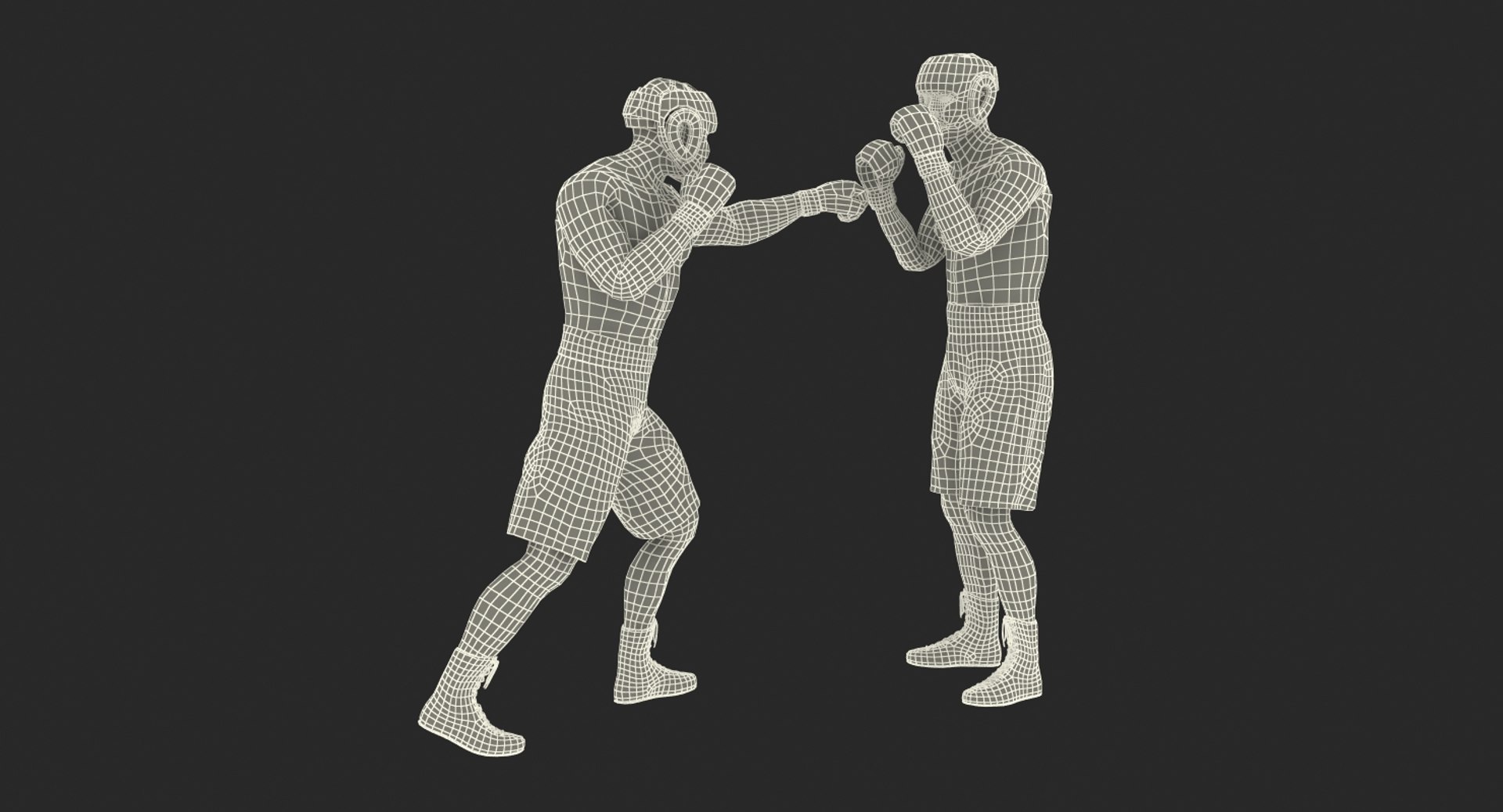 3d Boxers Fighting Model