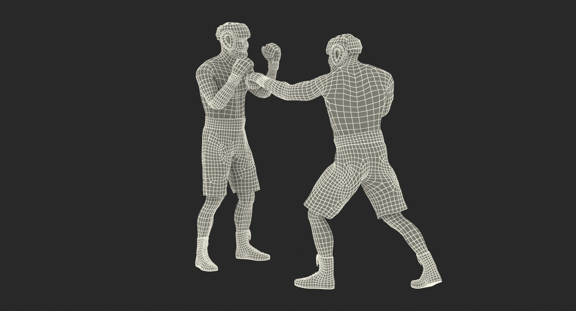 3d Boxers Fighting Model