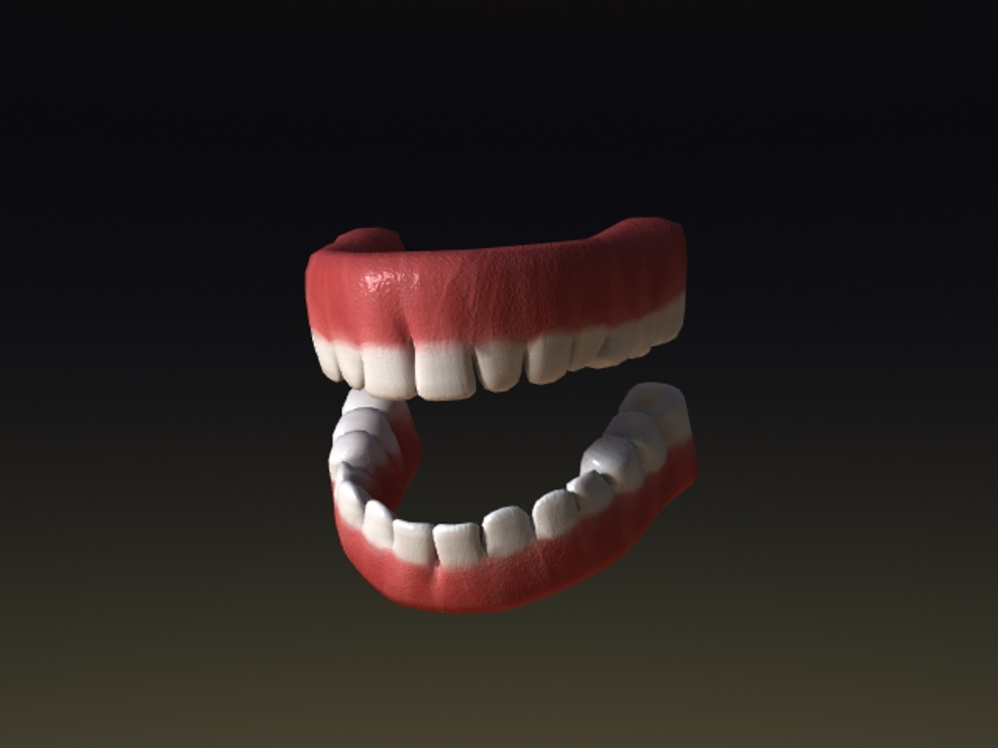 free simple teeth emdl 3d model