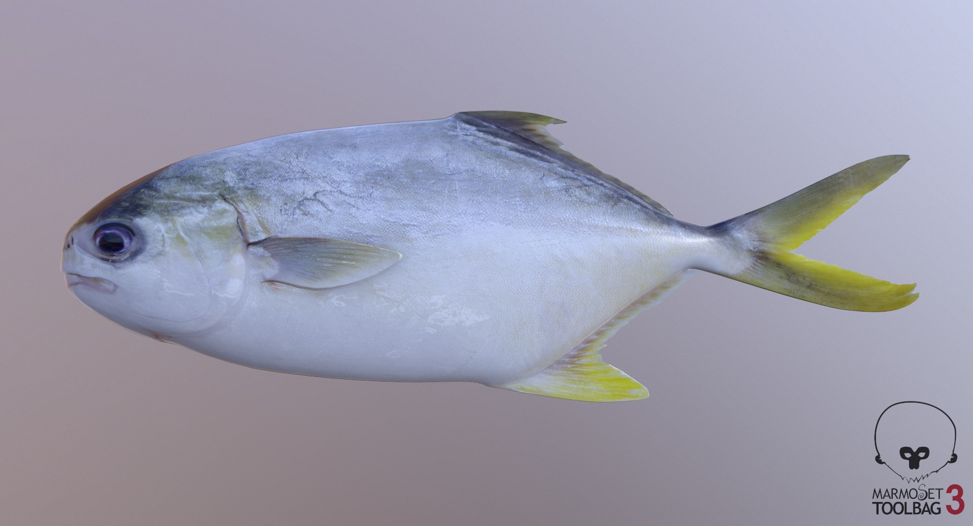 Pompano Pbr 3D Model - TurboSquid 1282783