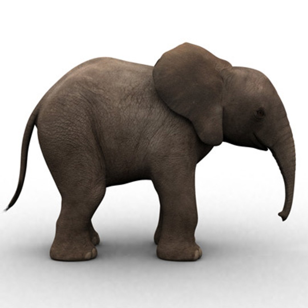 3d Model Elephant