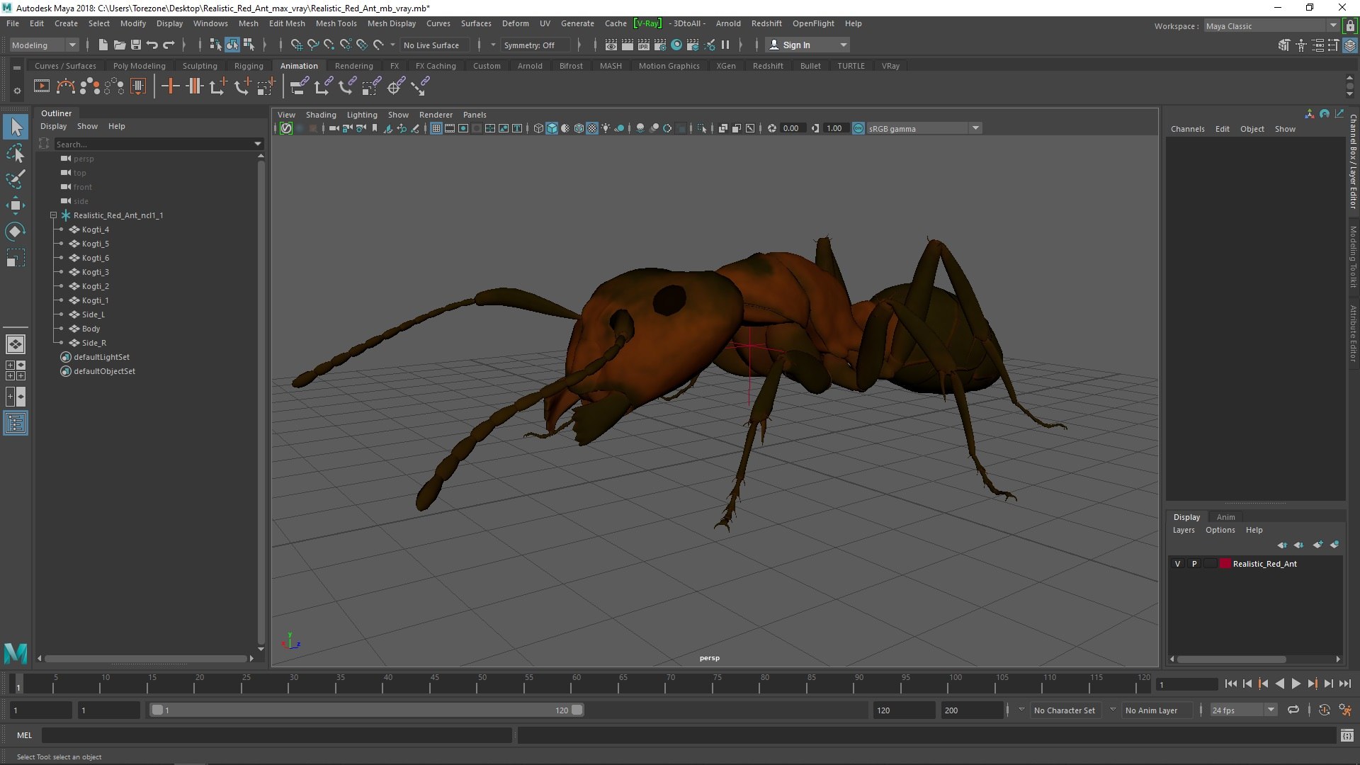 Realistic Red Ant 3D Model - TurboSquid 2329686