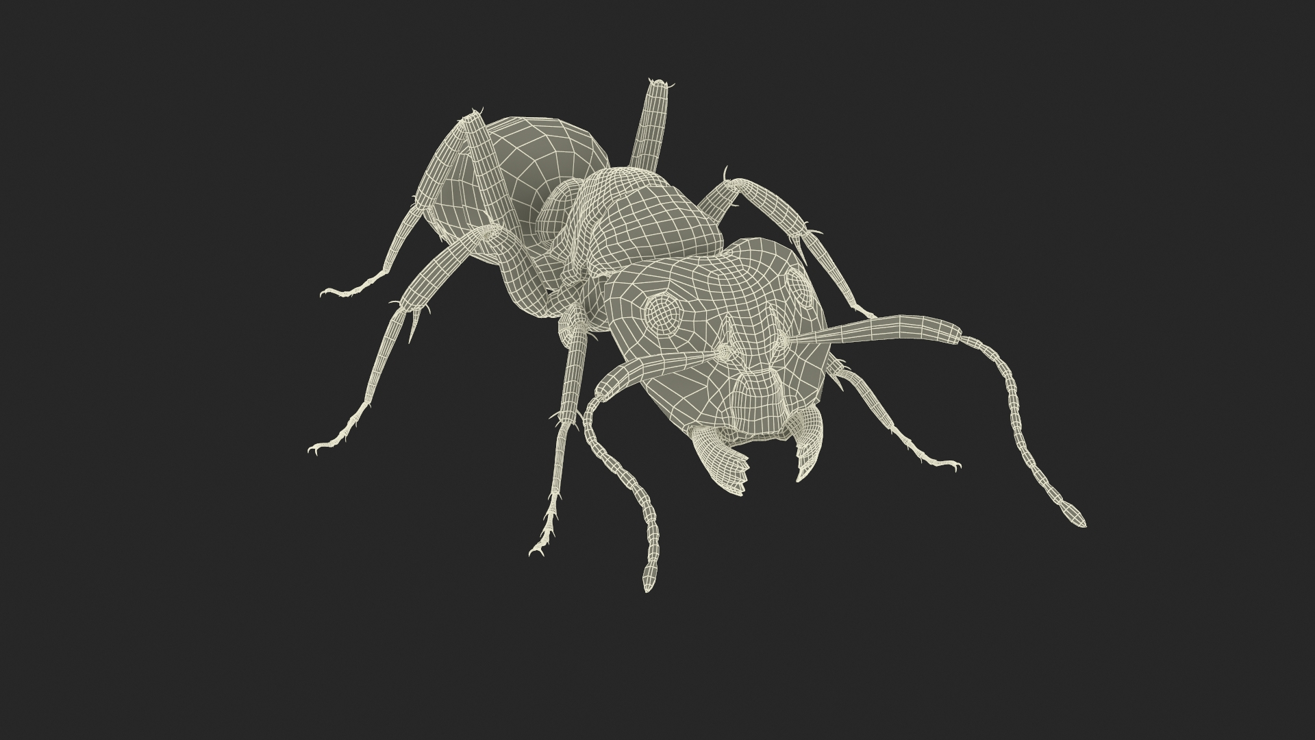 Realistic Red Ant 3D Model - TurboSquid 2329686