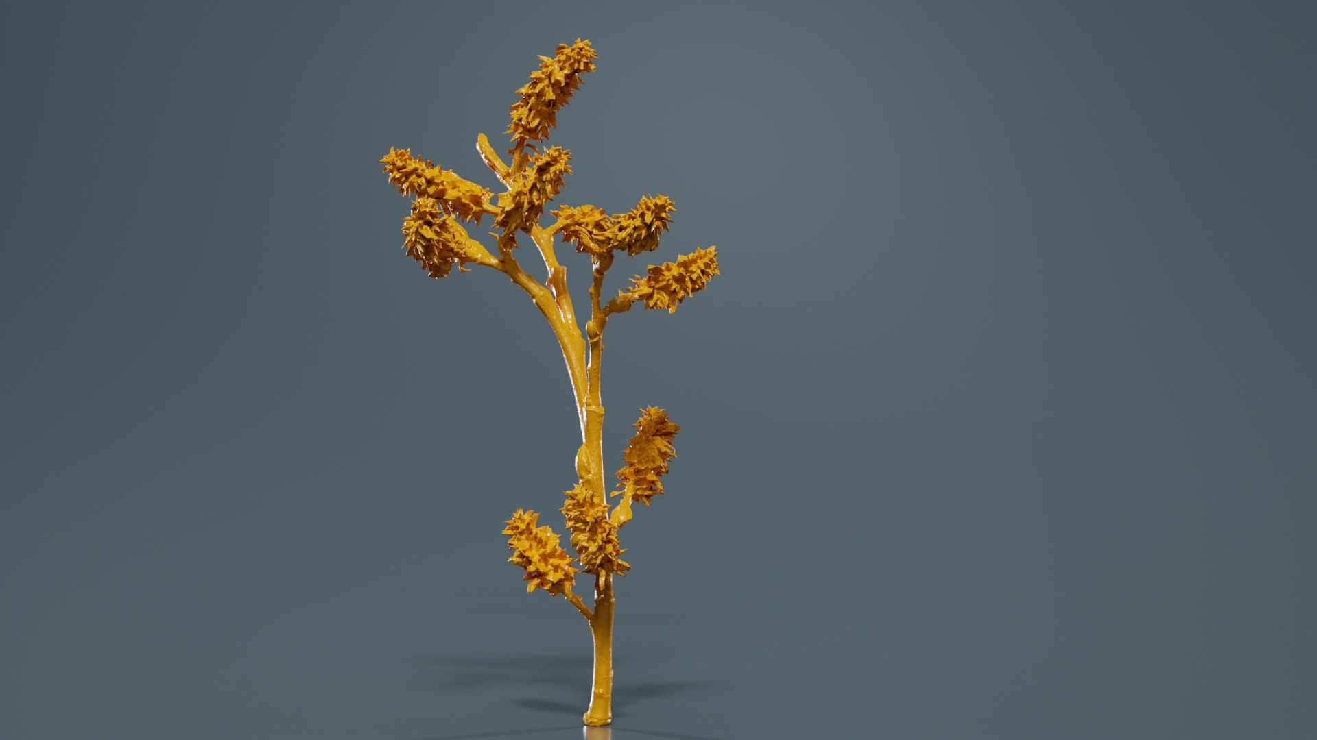 3D Model Salix Caprea Pussy Willow Salicaceae Sprout Remastered - TurboSquid 2362682