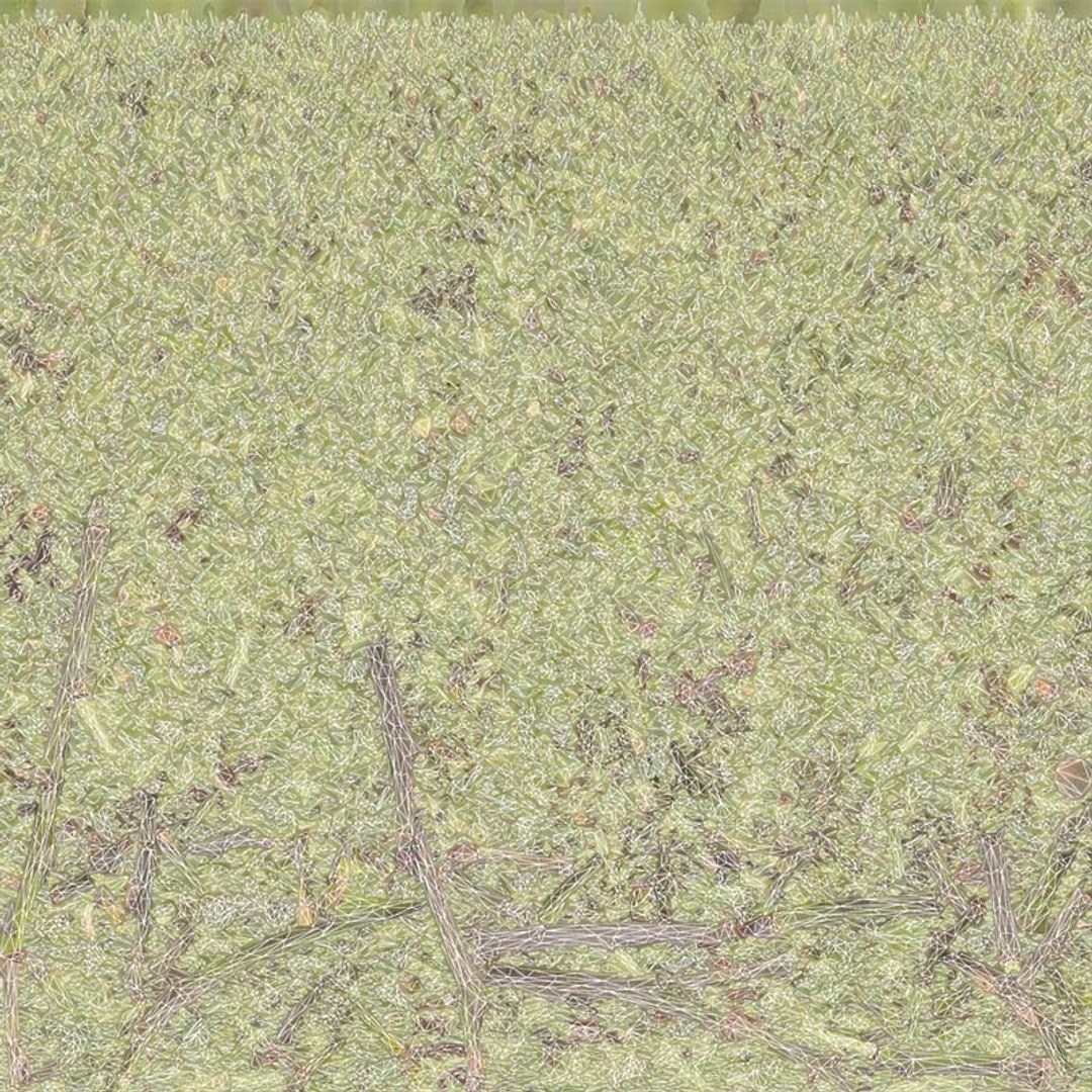 3D Model Salix Caprea Pussy Willow Salicaceae Sprout Remastered - TurboSquid 2362682