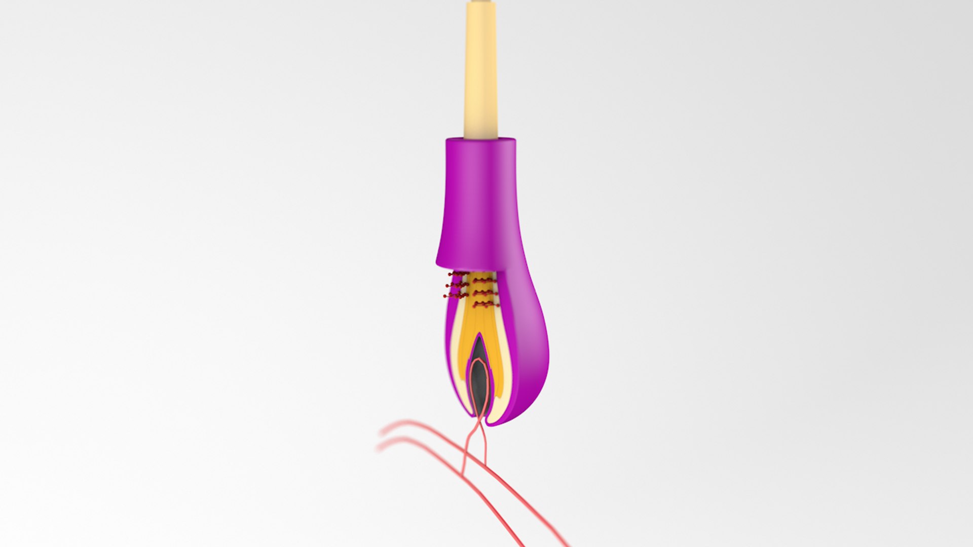 3D hair bulb model - TurboSquid 1357992