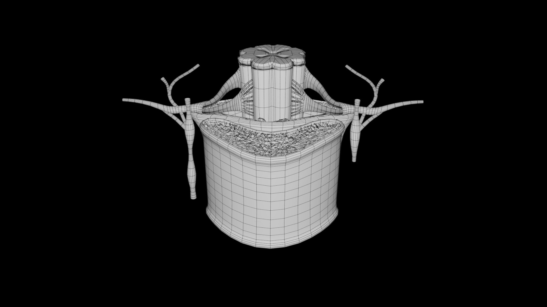 Human Anatomy-Nervous System-Spinal Nerves 3D Model - TurboSquid 2216896