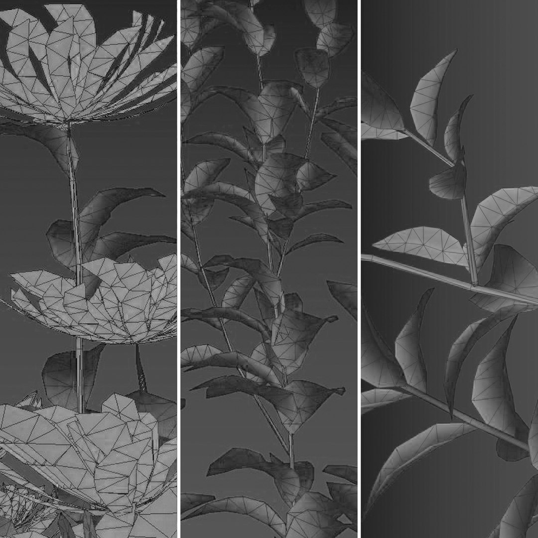 3D Set Of Aster Tataricus Or Tatarian Aster Trees Model - TurboSquid ...